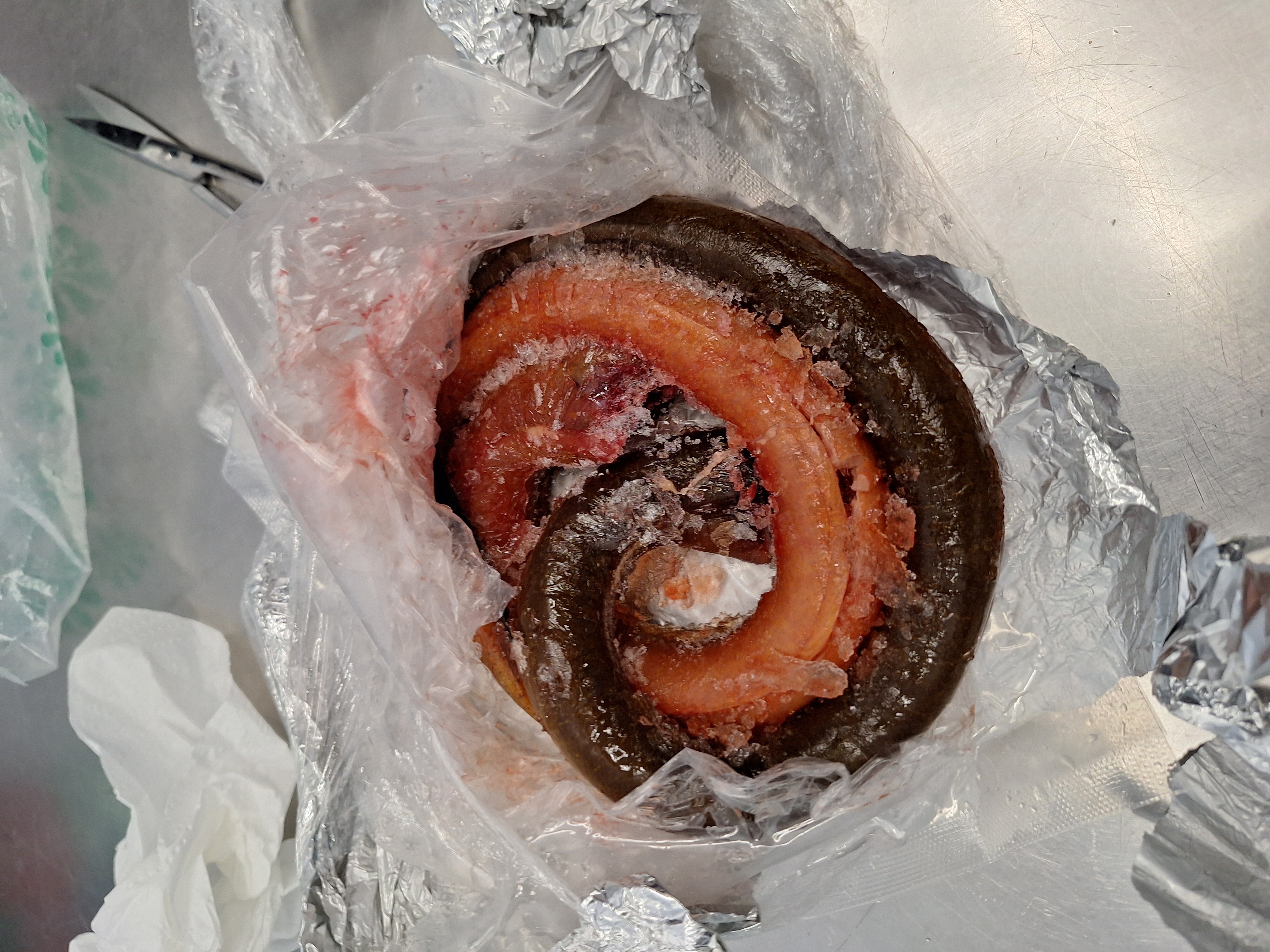 Fakulta tropického zemědělství