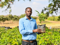 Fakulta tropického zemědělství