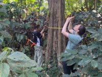 Fakulta tropického zemědělství