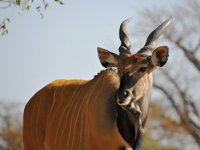 Fakulta tropického zemědělství